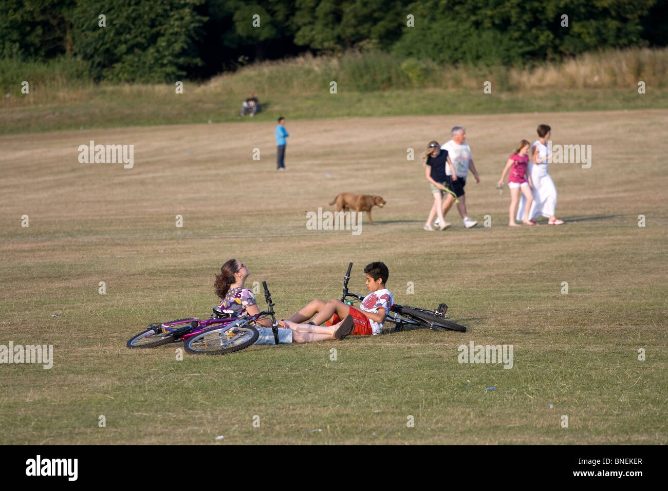 Croydon lloyd park hi-res stock photography and images - Alamy