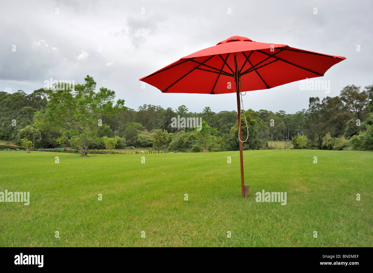 Mowed grassy open field hi-res stock photography and images - Alamy