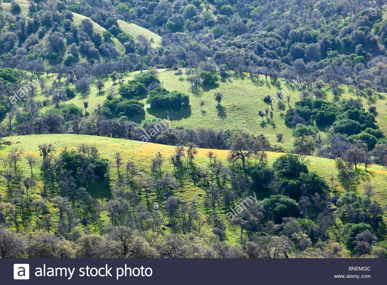 Tehachapi Mountains High Resolution Stock Photography and Images - Alamy