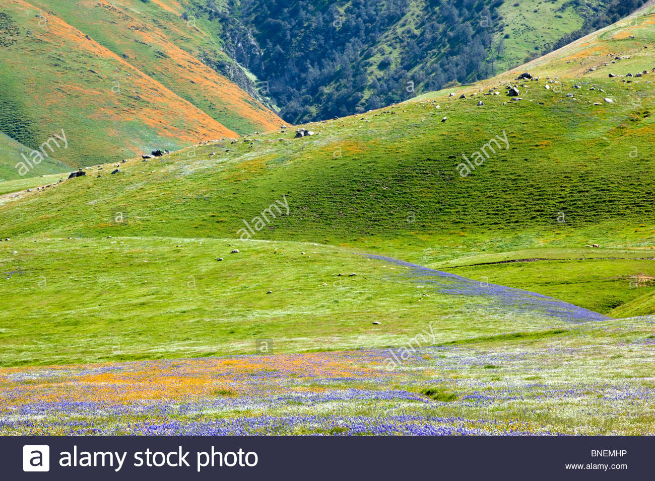 Tehachapi Mountains High Resolution Stock Photography and Images - Alamy