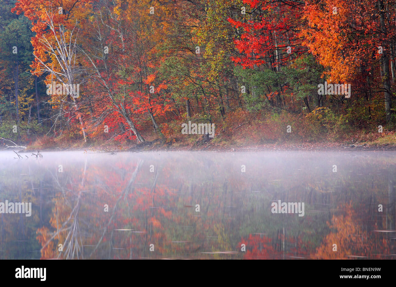 Anderson lake hi-res stock photography and images - Alamy