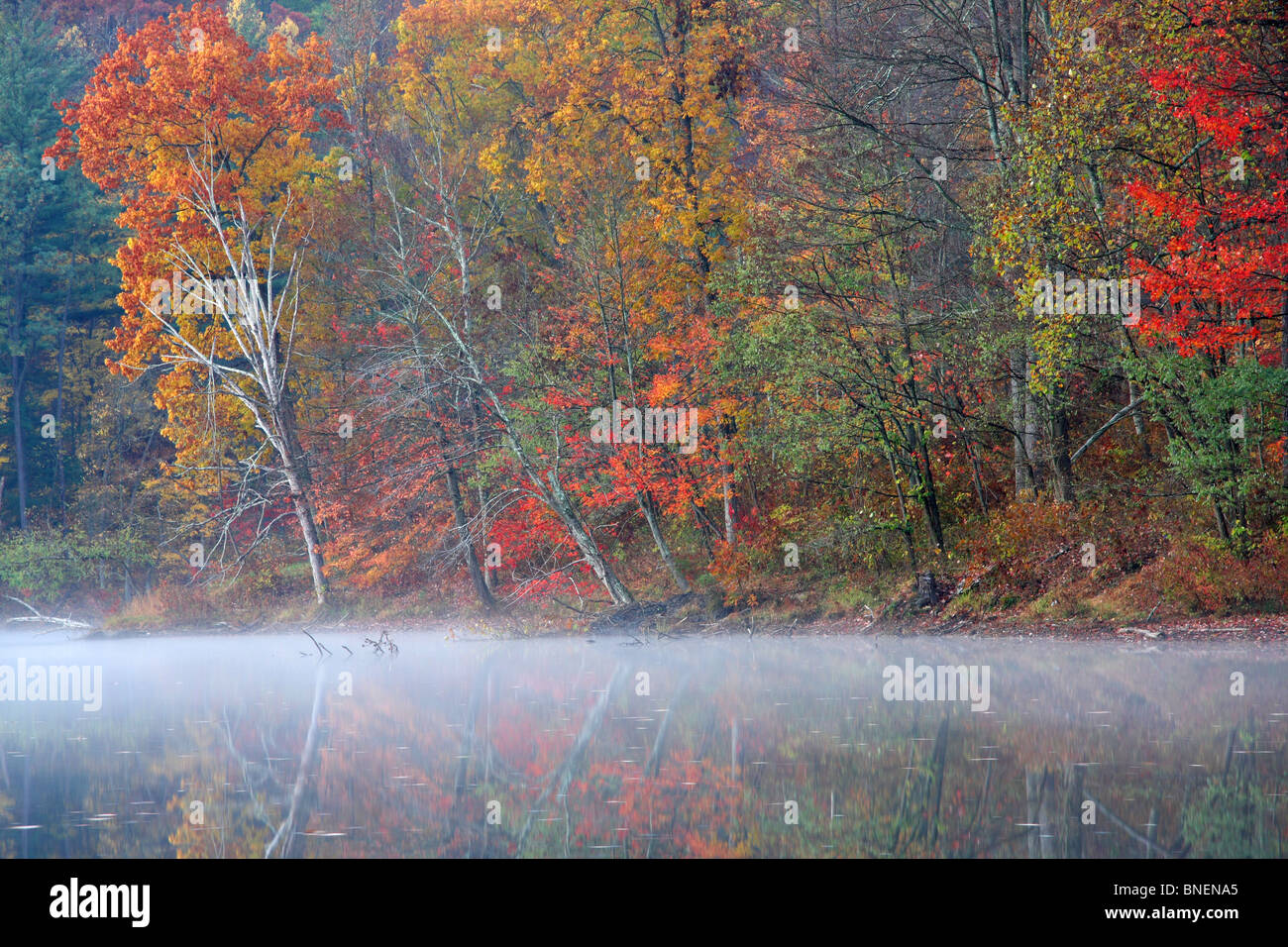 A small misty lake surrounded by fall foliage Stock Photo - Alamy