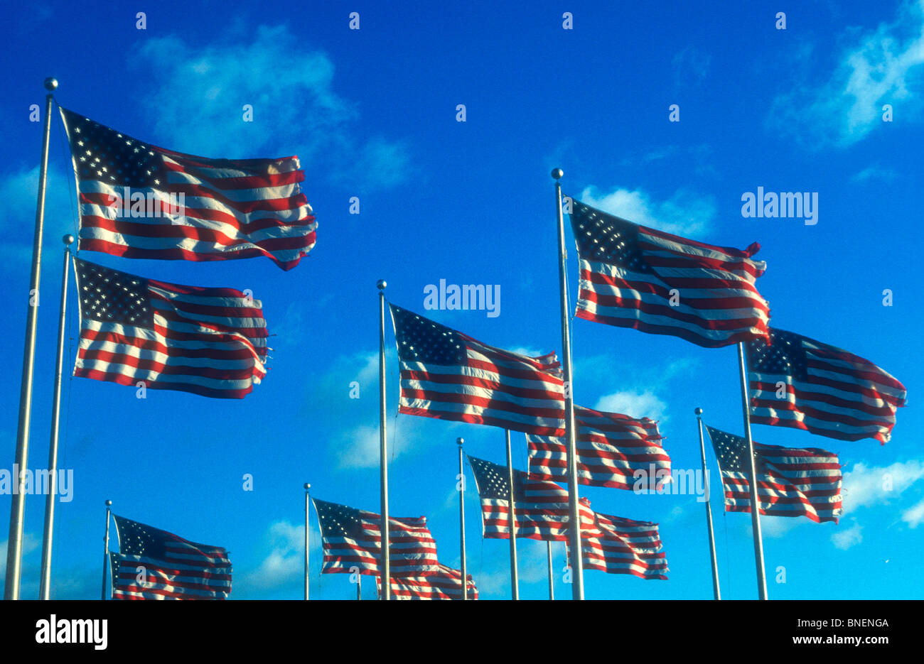 American flags waving in the wind Stock Photo - Alamy