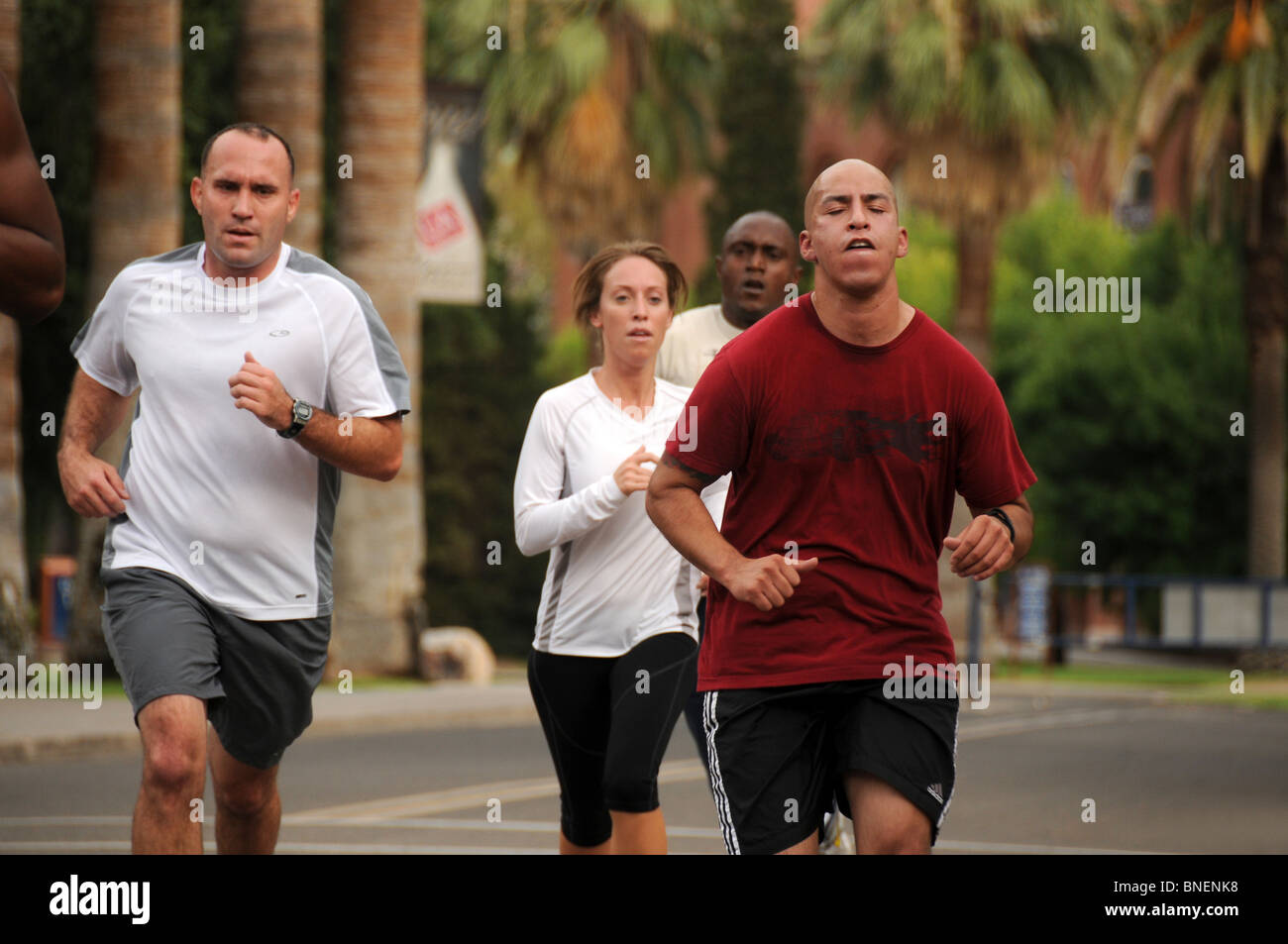 Marines who are students work out during the Marine Platoon Physical ...