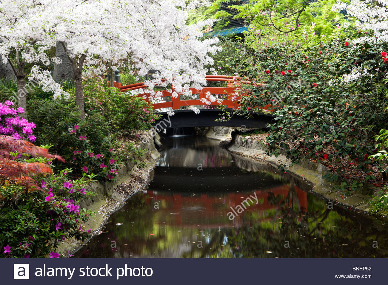 Descanso Garden High Resolution Stock Photography and Images - Alamy