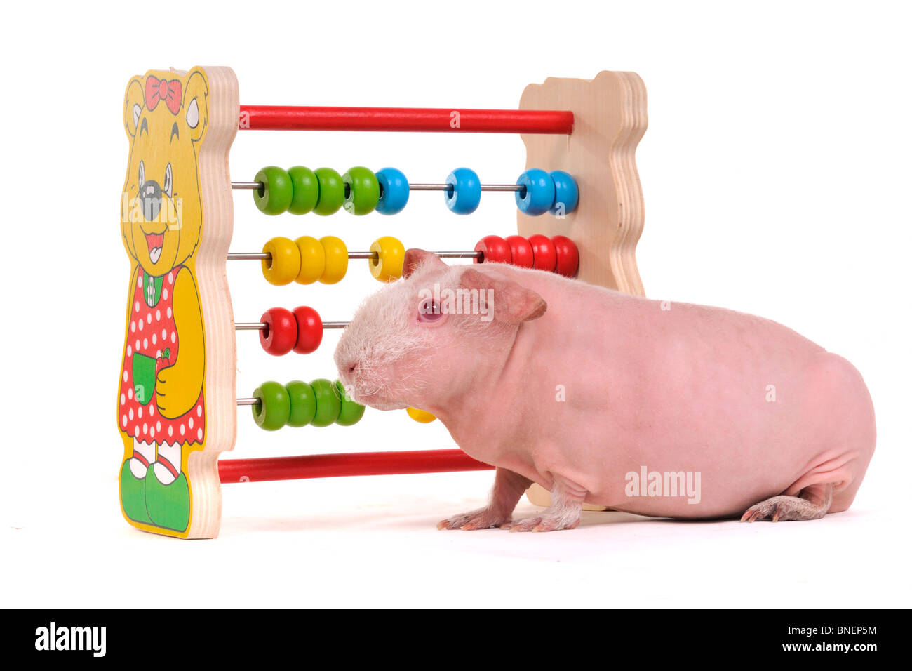 Children learning maths Cut Out Stock Images & Pictures - Alamy