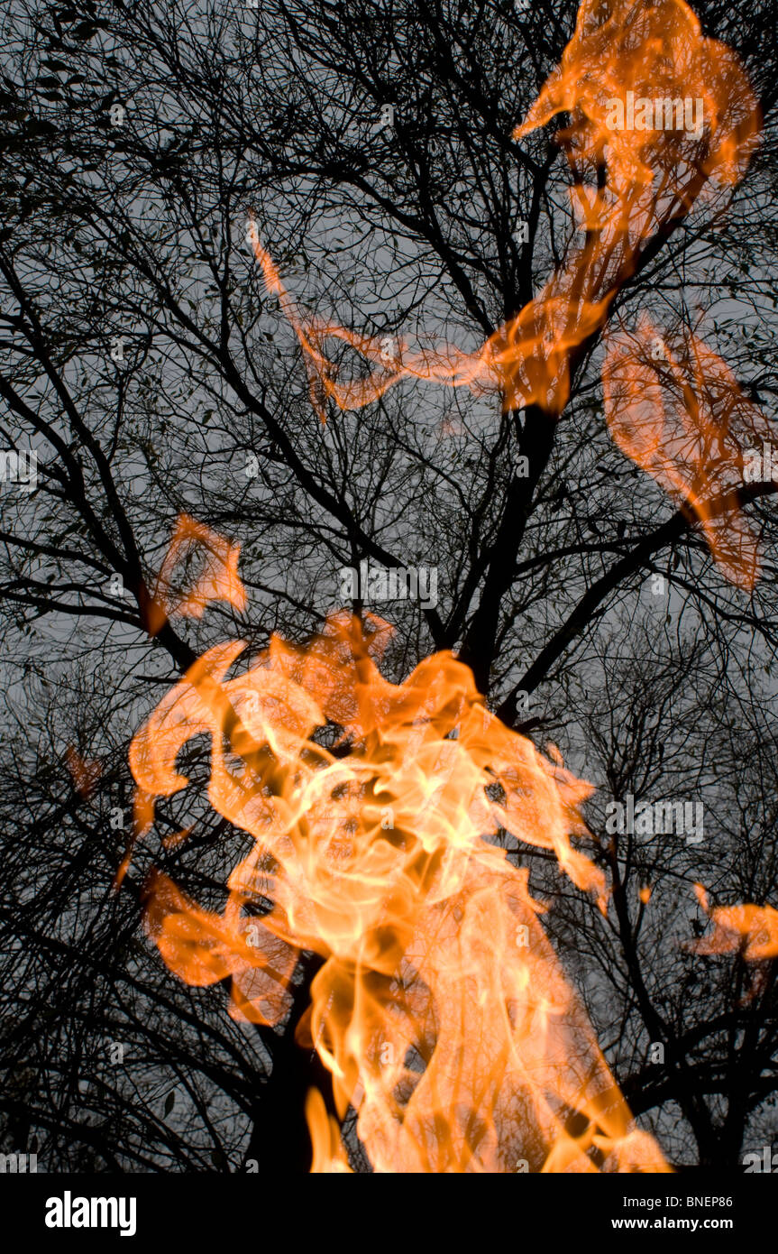 Lit by fire hi-res stock photography and images - Alamy