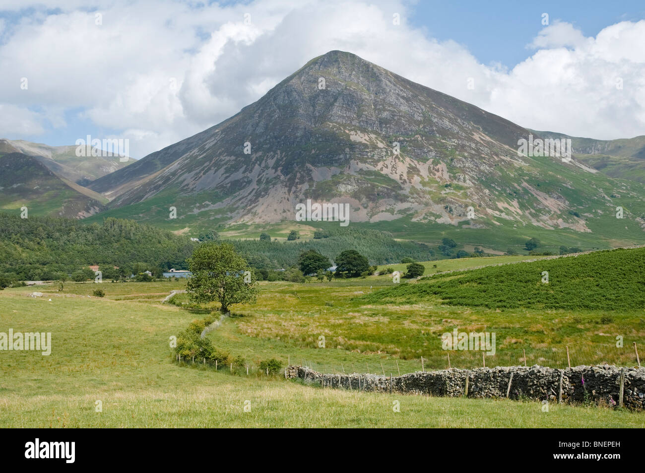 Grassmoor hi-res stock photography and images - Alamy