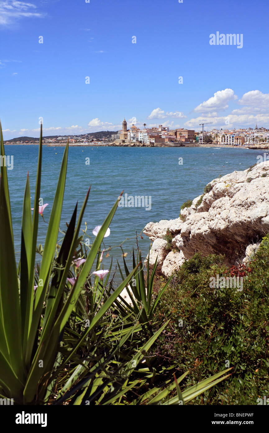 Balmins beach hi-res stock photography and images - Alamy