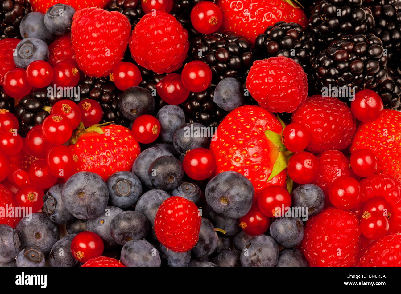 Strawberry blueberry raspberry and blackberries on white background ...