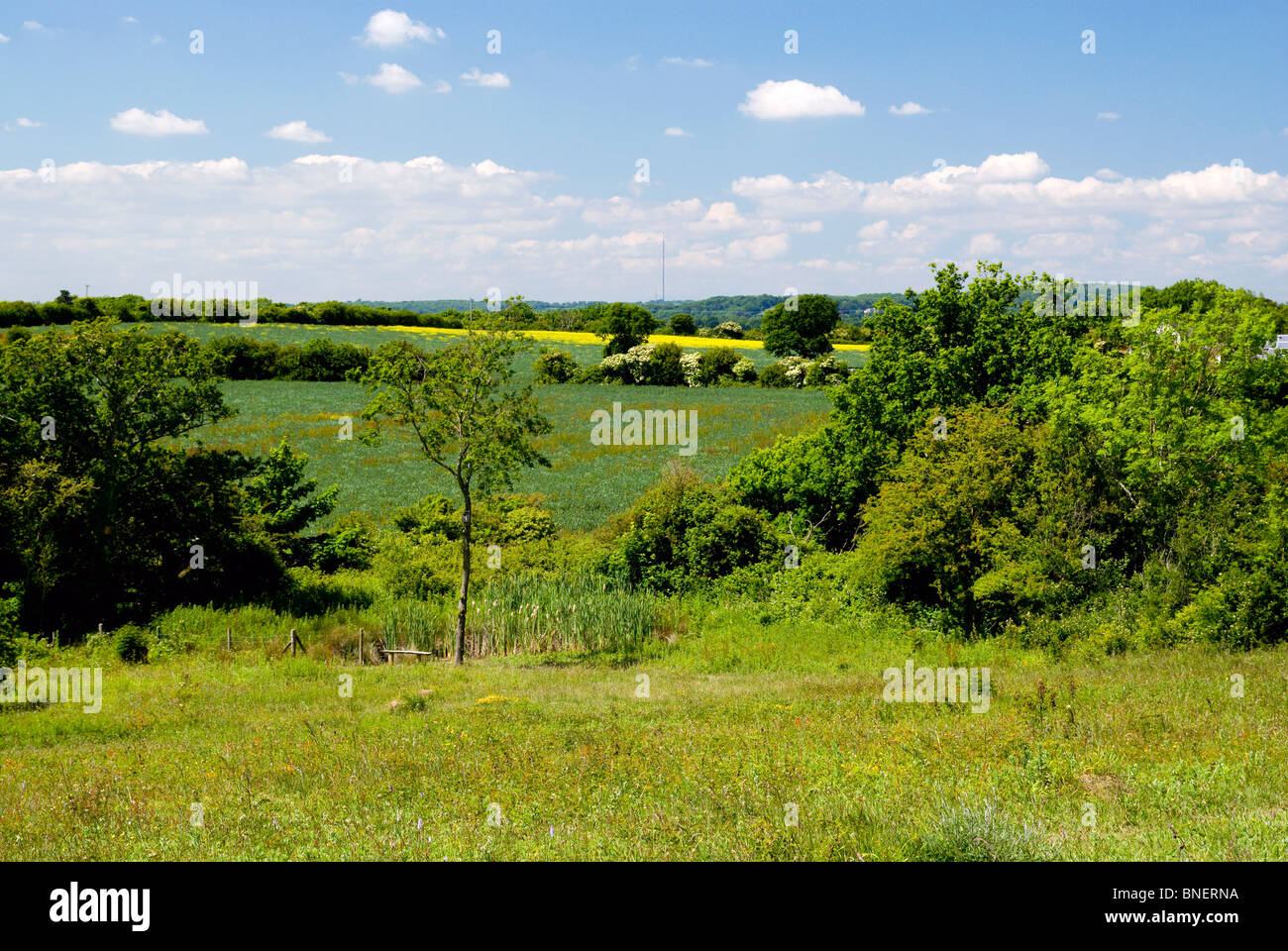Lavernock nature reserve hi-res stock photography and images - Alamy