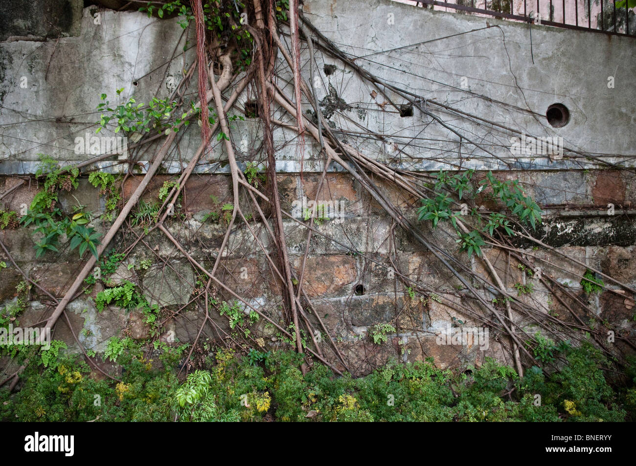 Hong Kong, Central, Sheung Wan, Wing Lee Street Stock Photo - Alamy