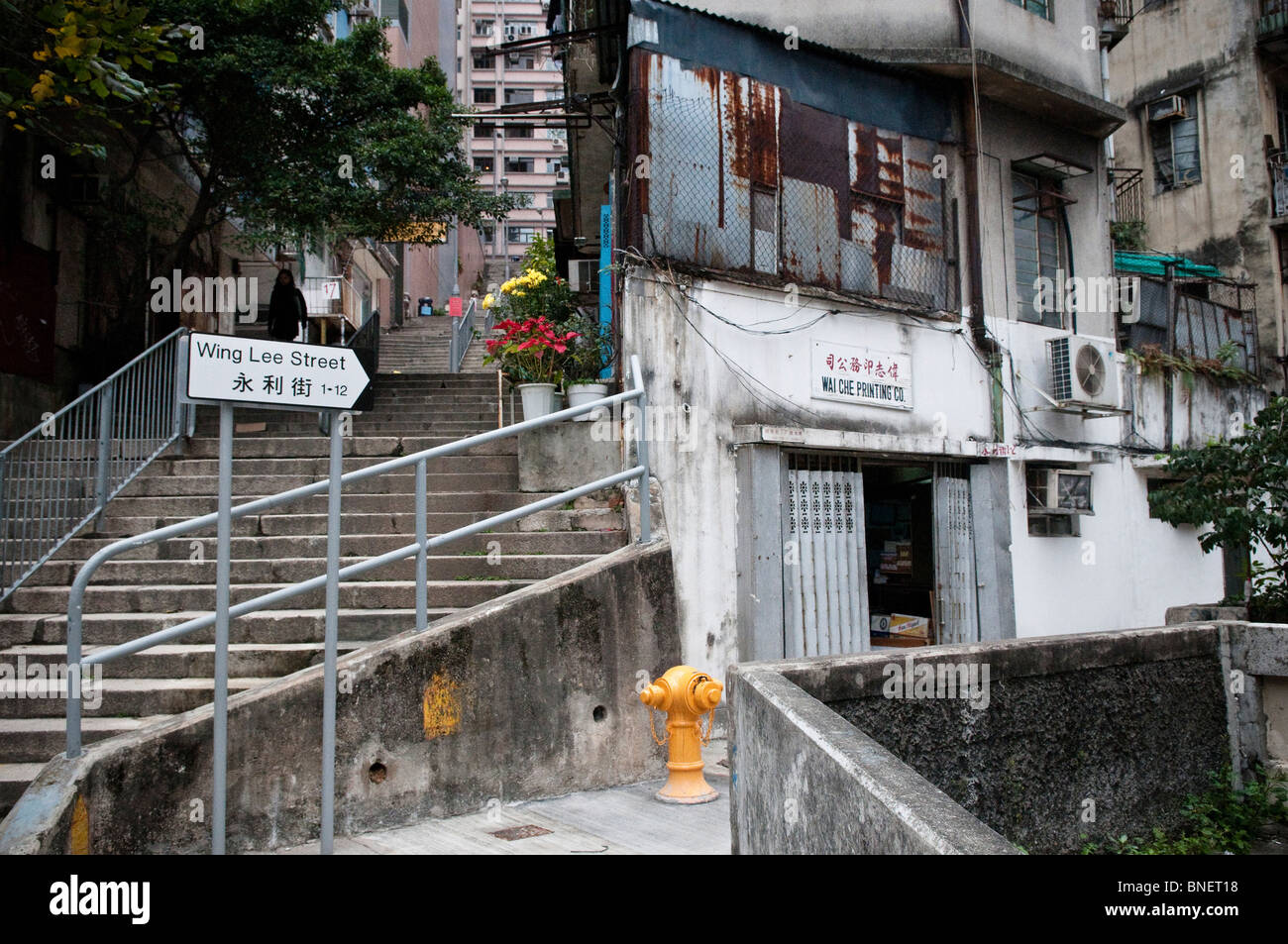 Hong Kong, Central, Sheung Wan, Wing Lee Street Stock Photo - Alamy