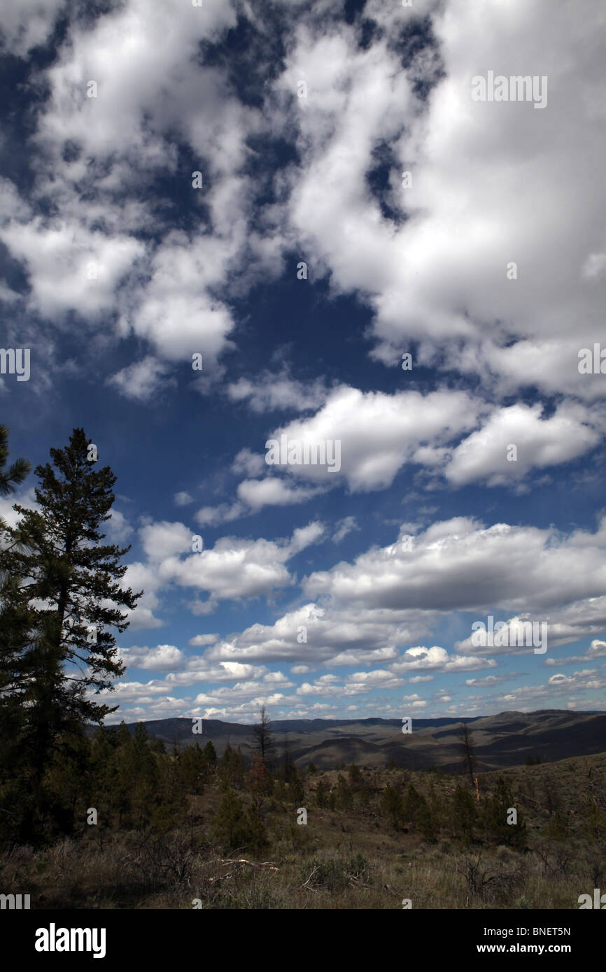 Kenna Cartwright Park - Kamloops - British Columbia - Canada Stock ...