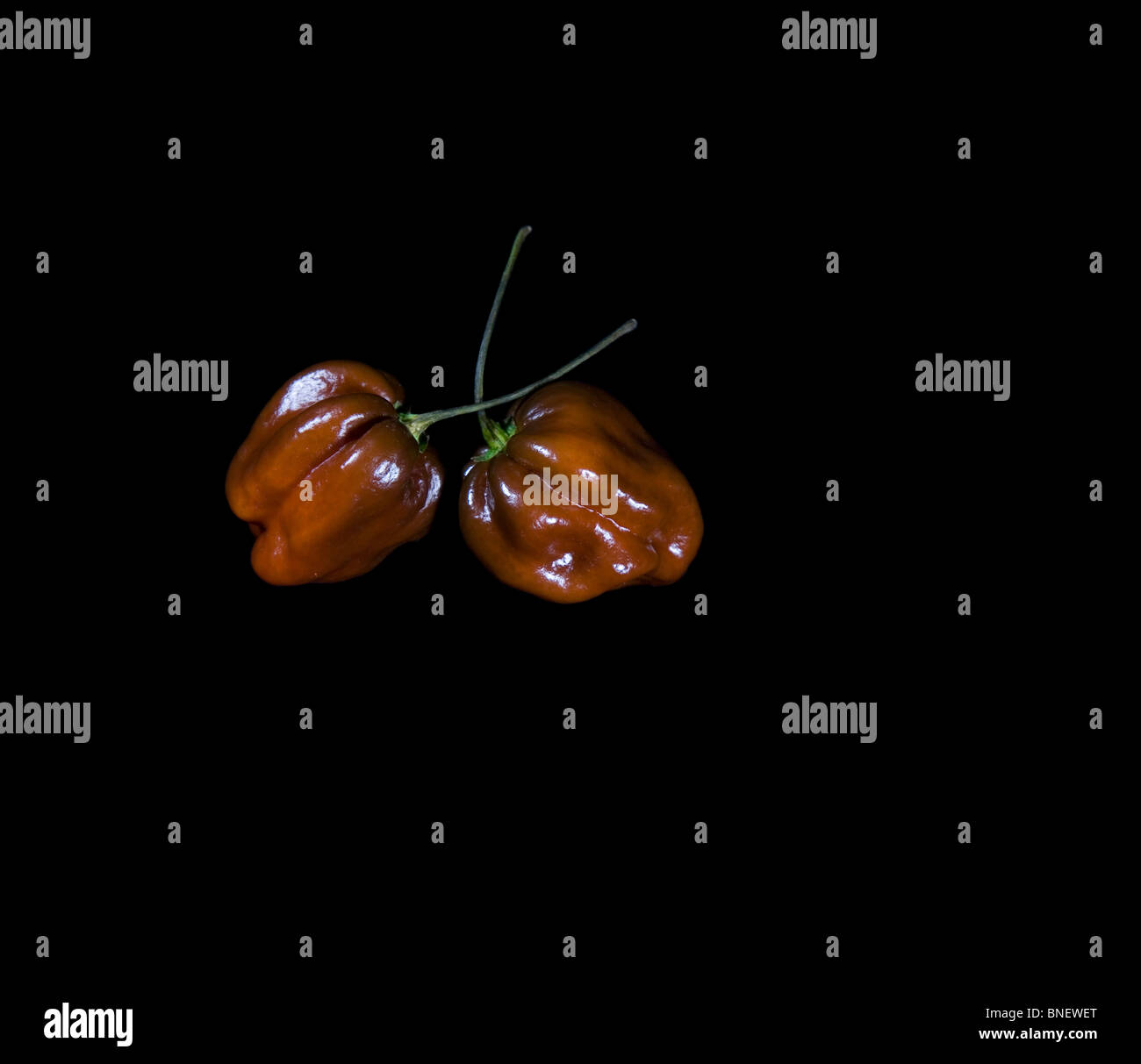 Chillis chilies hi-res stock photography and images - Alamy