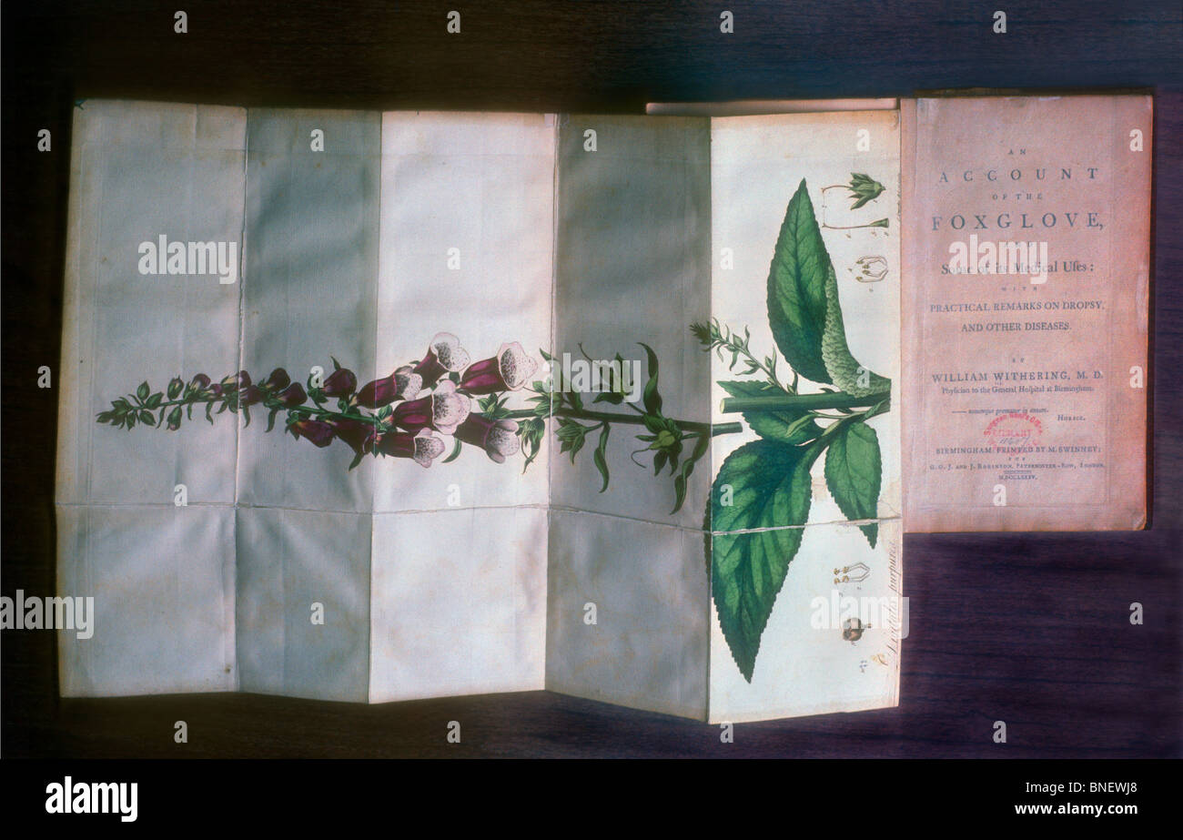 Plant book page hi-res stock photography and images - Alamy