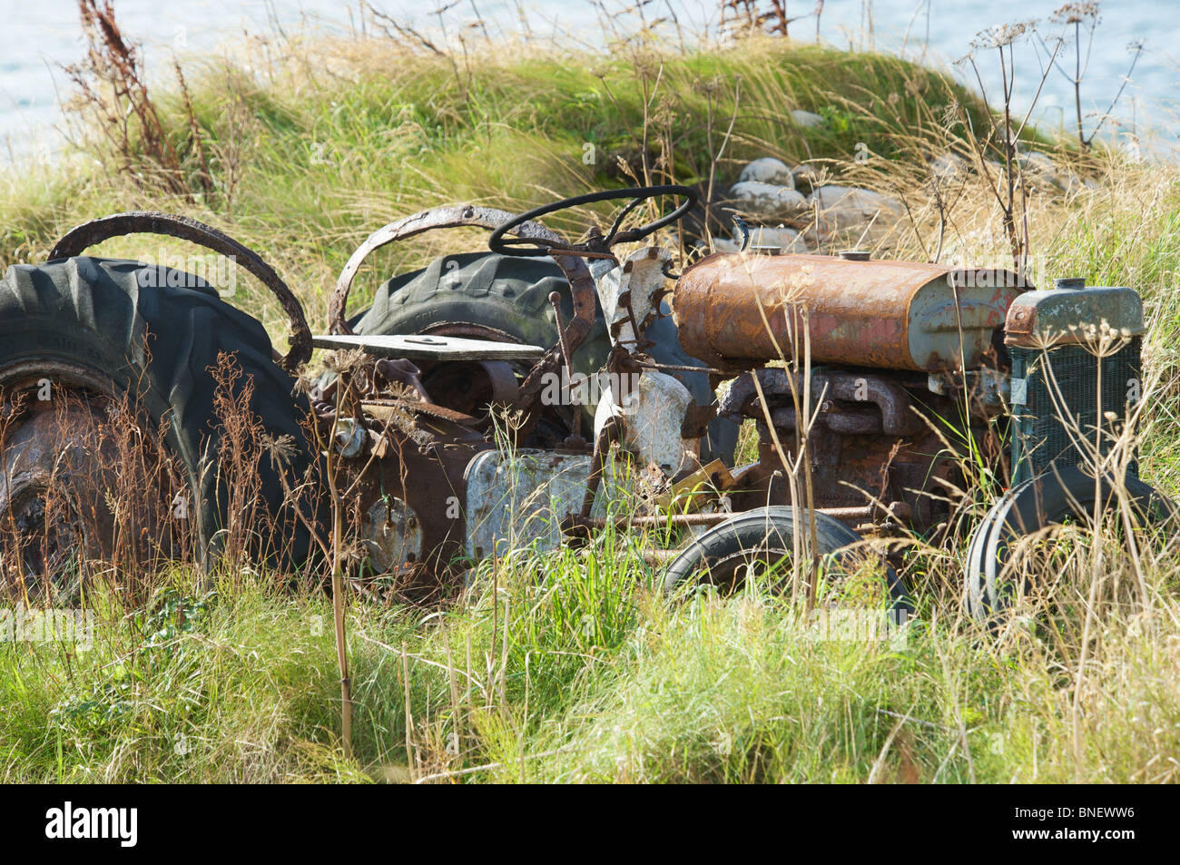 Abandoned rusty tractor Stock Photo - Alamy