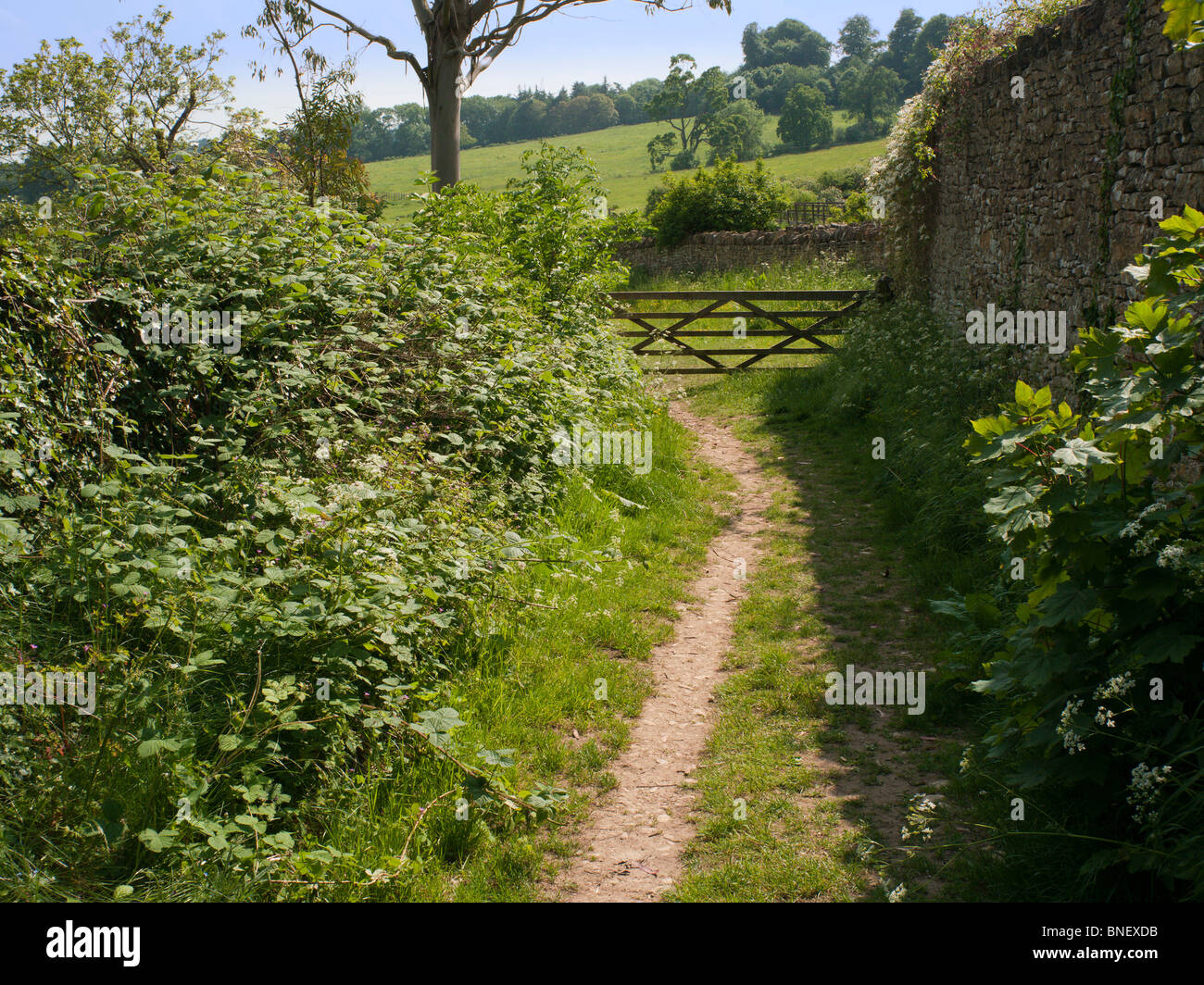 Cotaswold hi-res stock photography and images - Alamy