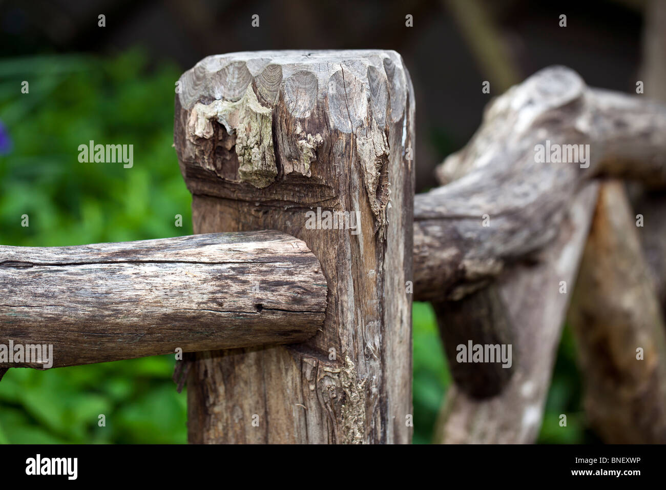 Old fence in Central Park in Shakespeare's garden Stock Photo - Alamy