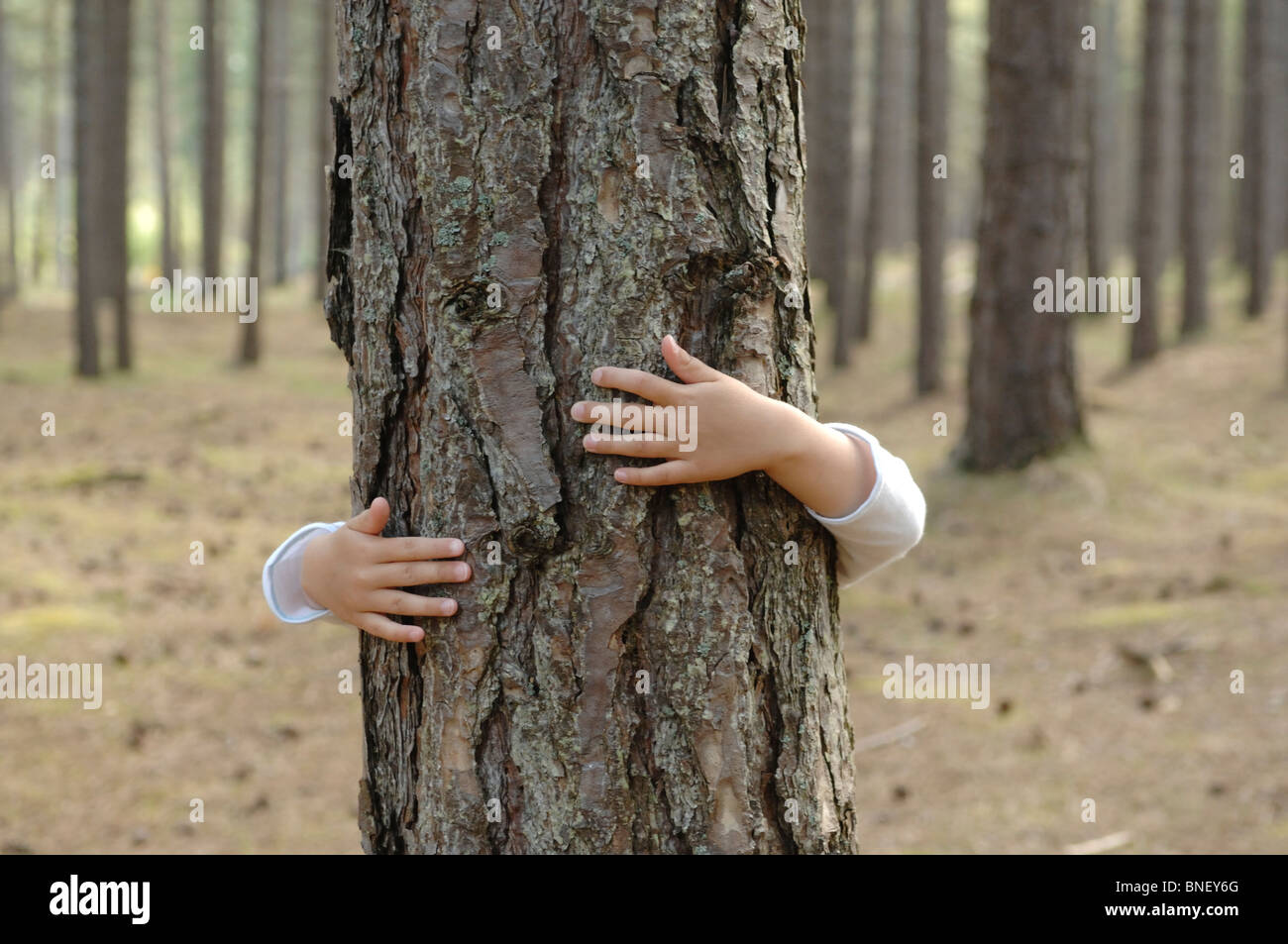 A 5 Year Old Kindergarten Age White Girl Hugging A Tree Trunk At