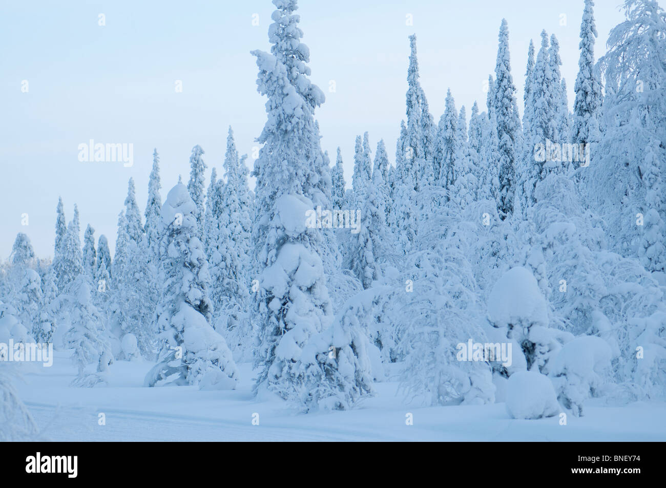 Snow landscapes in February with extreme cold conditions, Kuusamo ...