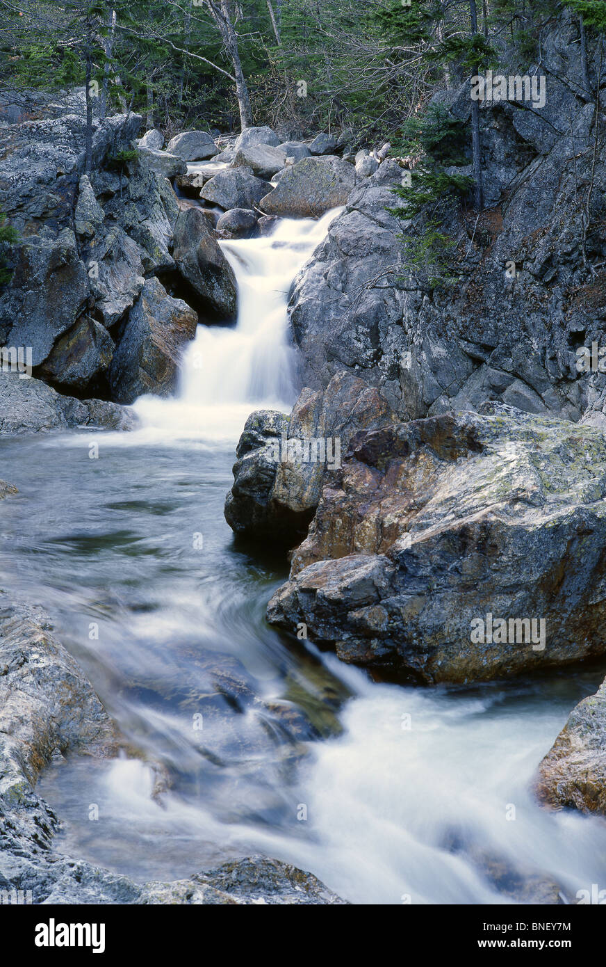 Northern California Gorge in Jedidiah State Park Stock Photo - Alamy Northern California Gorge in Jedidiah State Park Stock Photo - Alamy