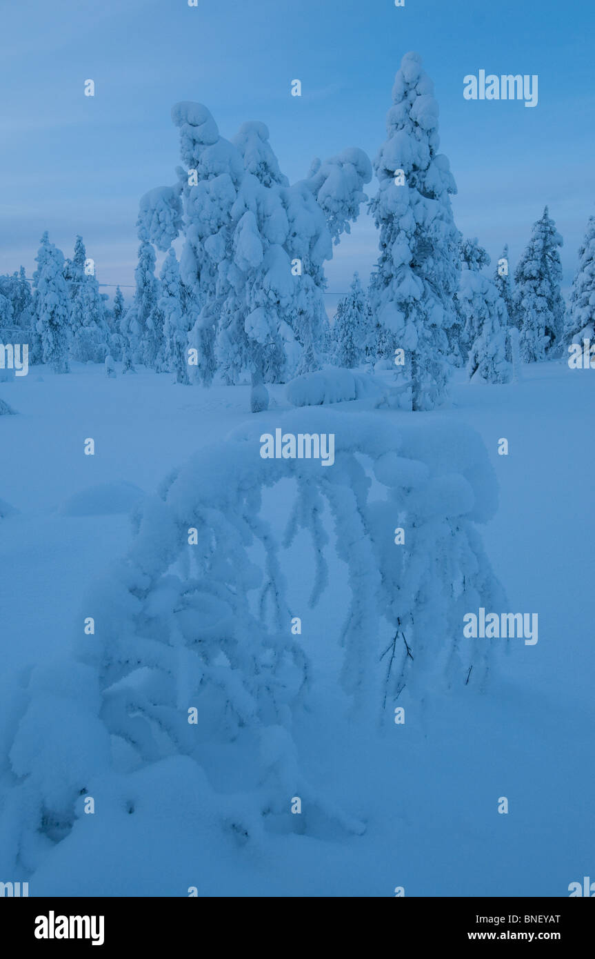 Snow landscapes in February with extreme cold conditions, Kuusamo ...