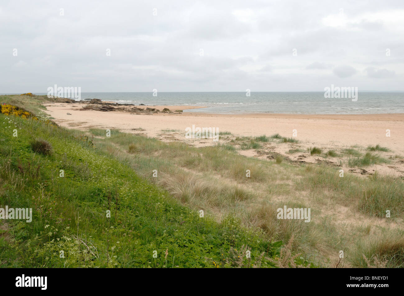 Dornoch Sands on the Dornoch Firth in Sutherland Scotland Stock Photo ...