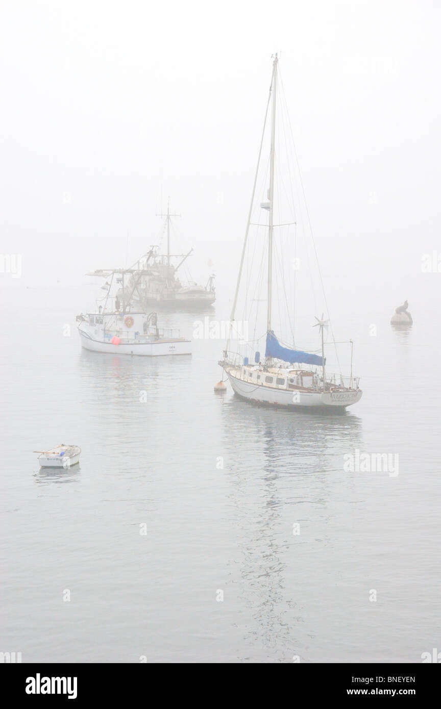 Yacht mist sea hi-res stock photography and images - Alamy