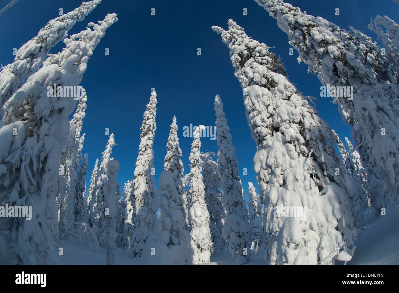 Snow landscapes in February with extreme cold conditions, Kuusamo ...