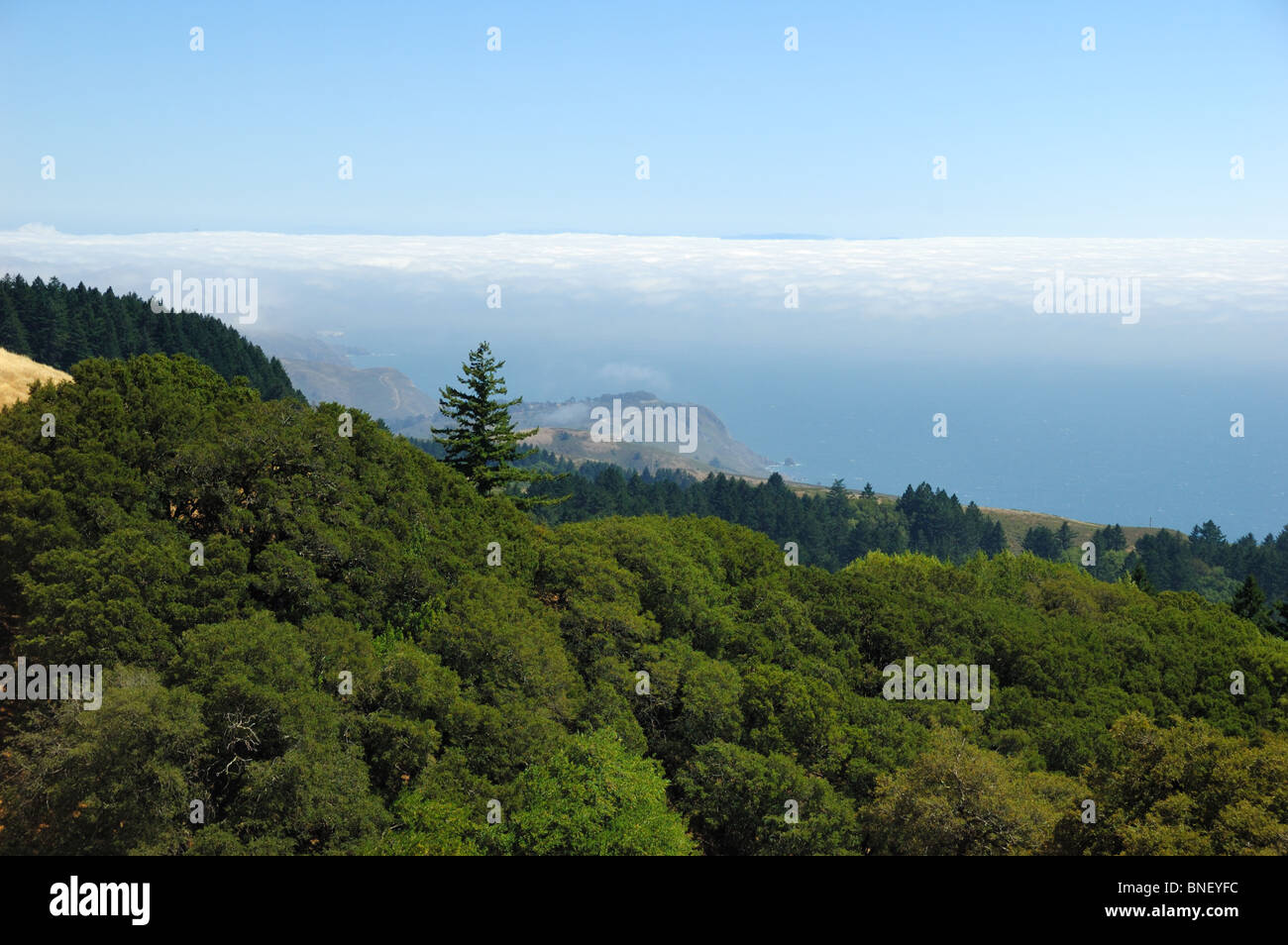 Muir Beach High Resolution Stock Photography and Images - Alamy