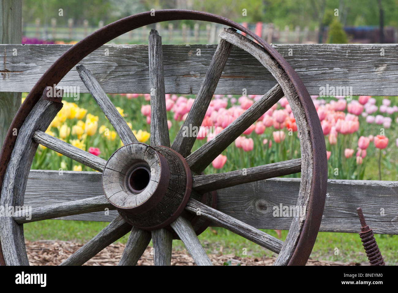 Tulip time festival Dutch at Holland Michigan MI trade fair the ...