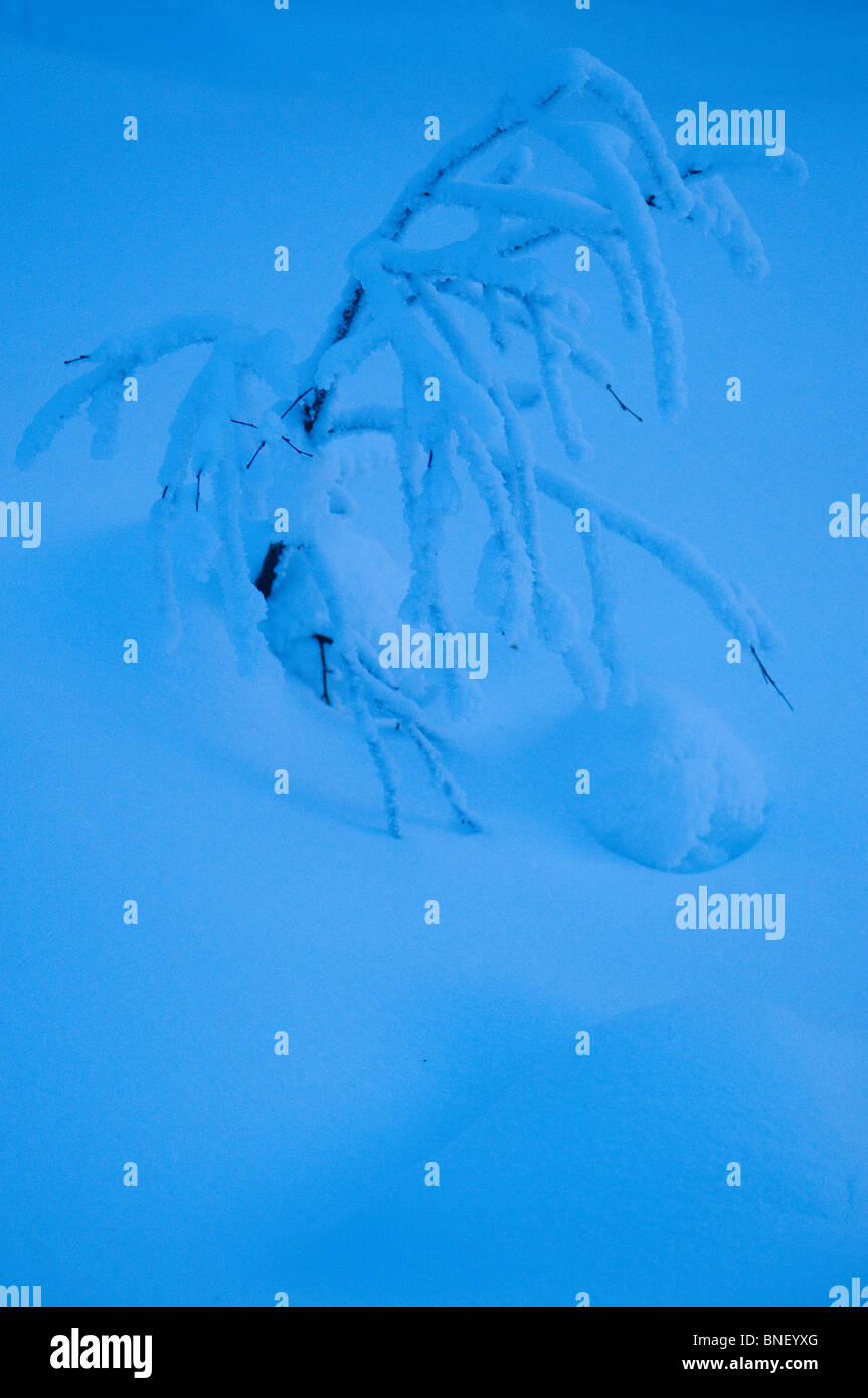 Thick snow layer hi-res stock photography and images - Alamy