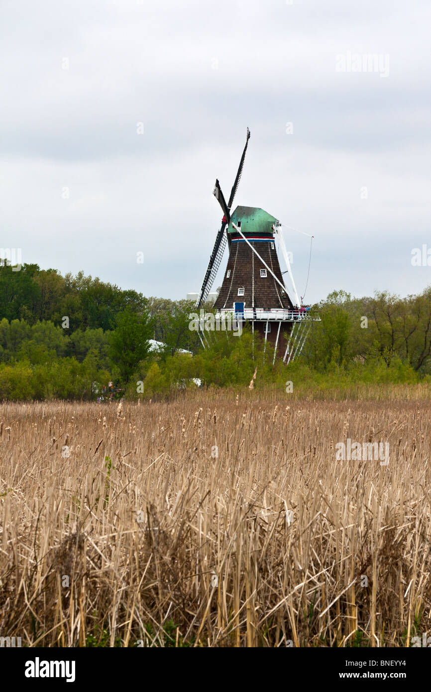 Windmill De Zwaan festival tulip time Dutch Holland Michigan in USA ...