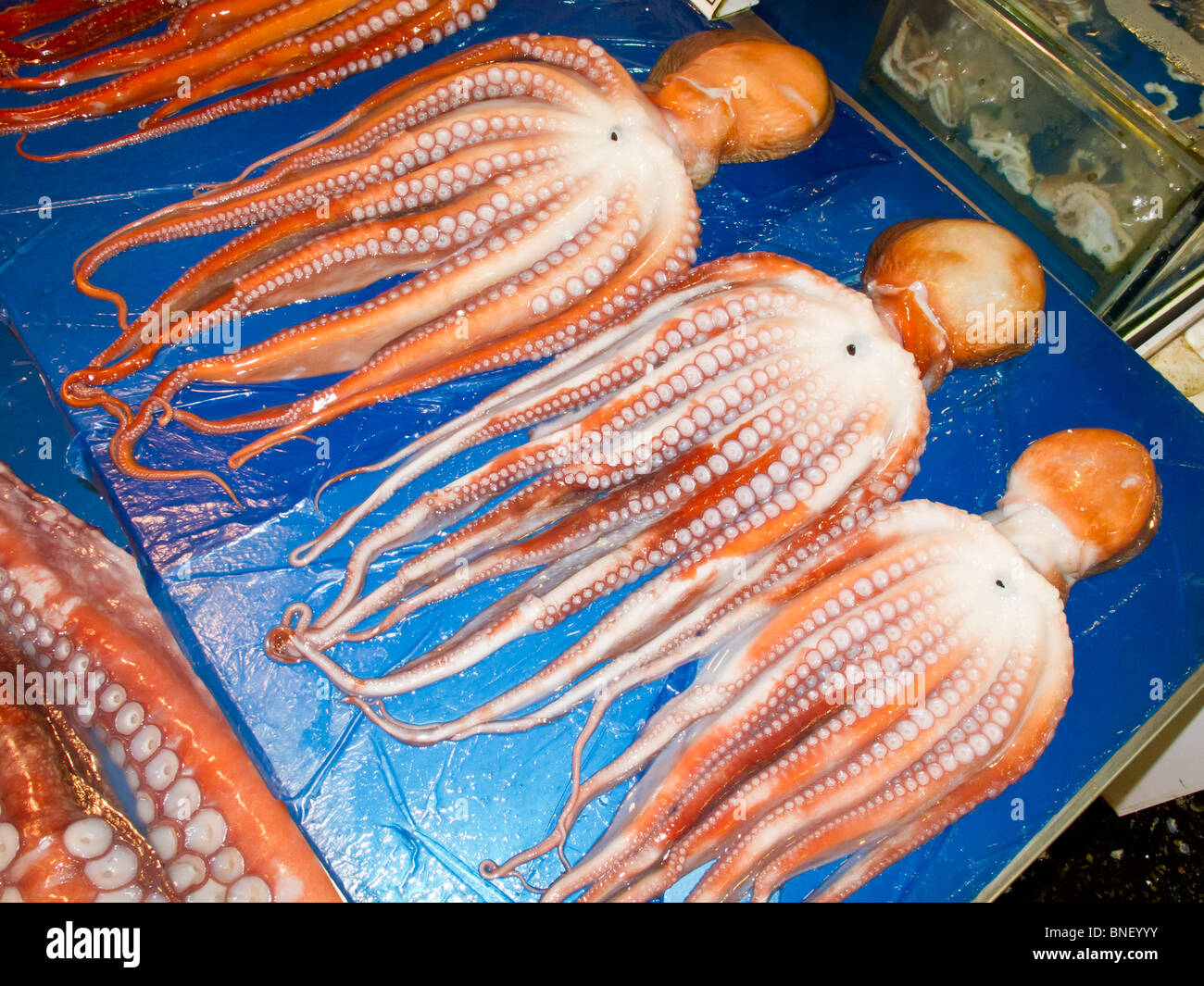 Overharvest hi-res stock photography and images - Alamy