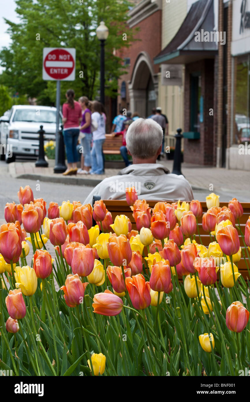 American native trade Dutch festival in Holland Michigan USA flowers ...