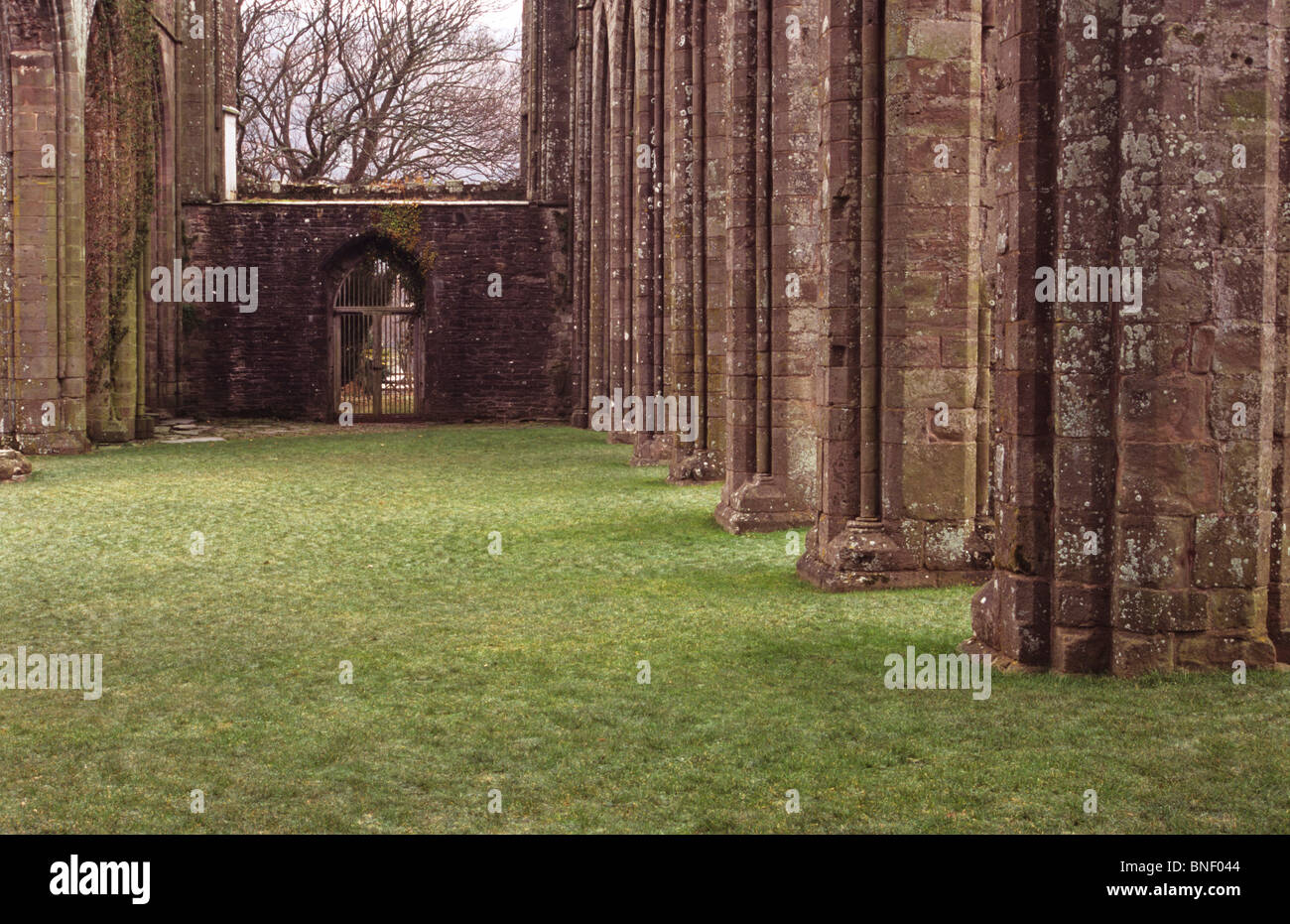 Llanthony Abbey, Wales, UK Stock Photo - Alamy