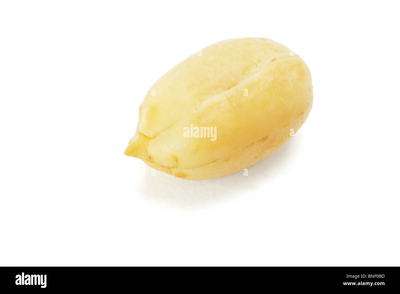 One single pea nut on white background Stock Photo - Alamy