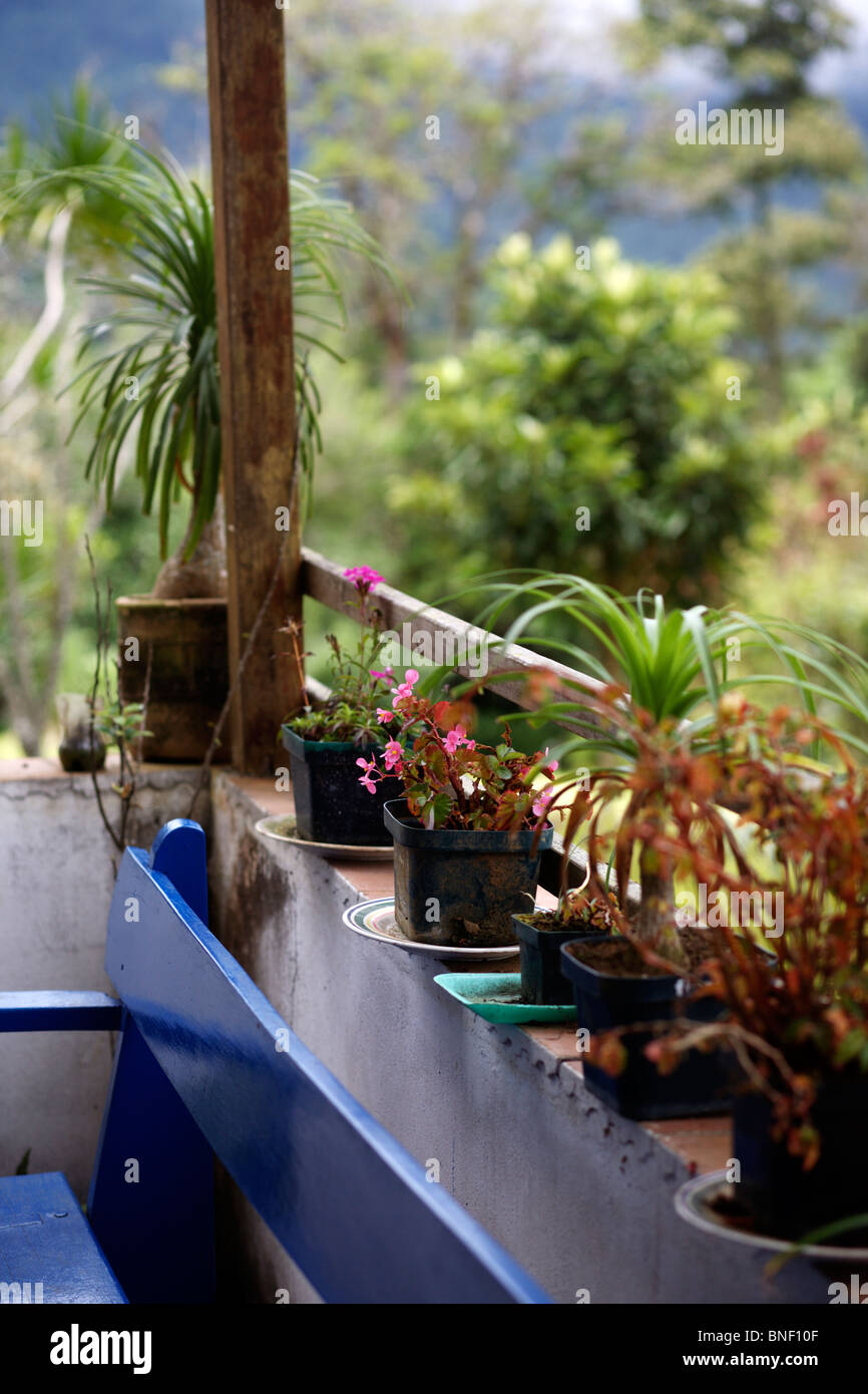 Plants on a colonial-style veranda at a house in Guatemala Stock Photo ...