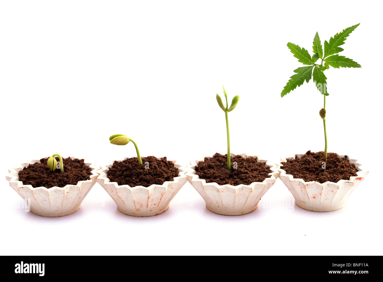 Evolution progression hi-res stock photography and images - Alamy