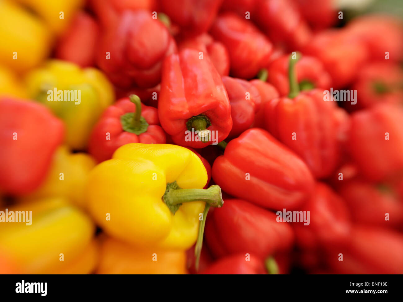 Colours of peppers hi-res stock photography and images - Alamy
