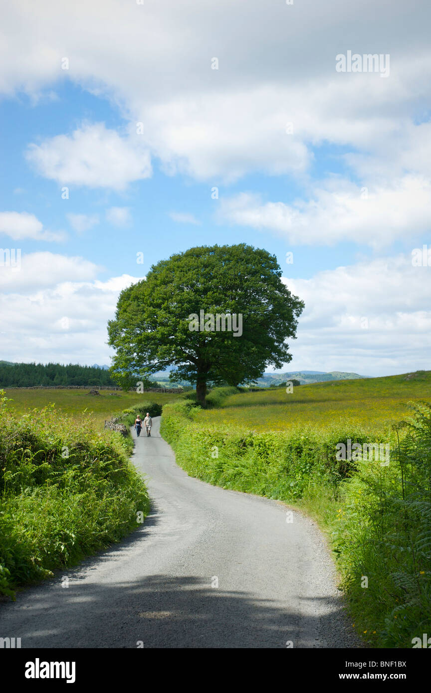 Quiet country lane hi-res stock photography and images - Alamy