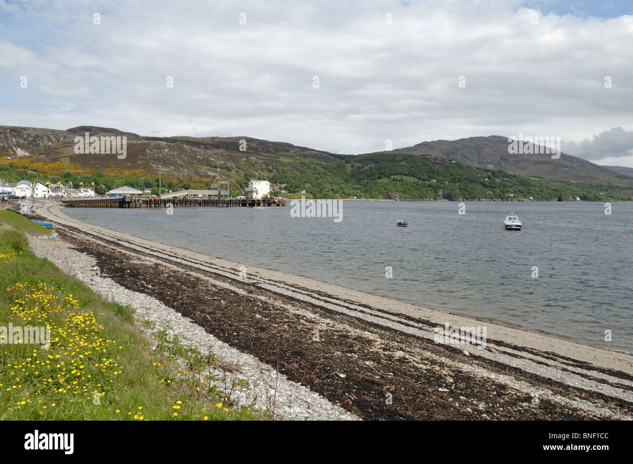 The pebble beach and washed up seaweed at Ullapool on the shore of ...