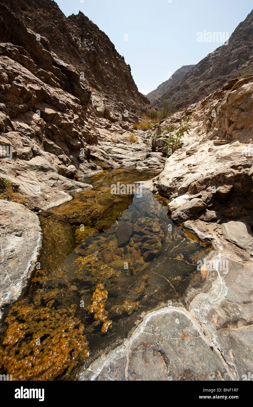Wadi in Fujairah, UAE Stock Photo - Alamy