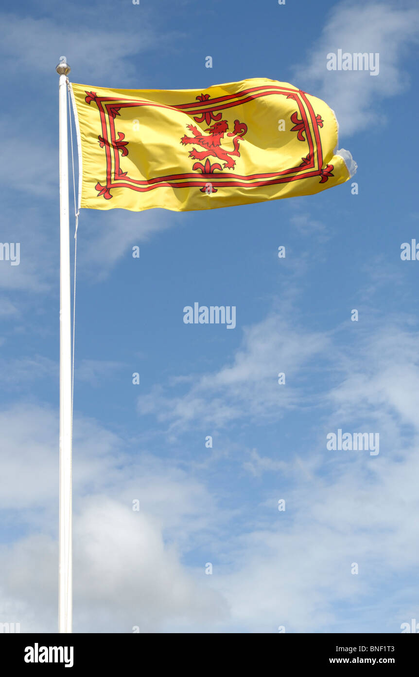 Yellow red scottish lion rampant hi-res stock photography and images ...