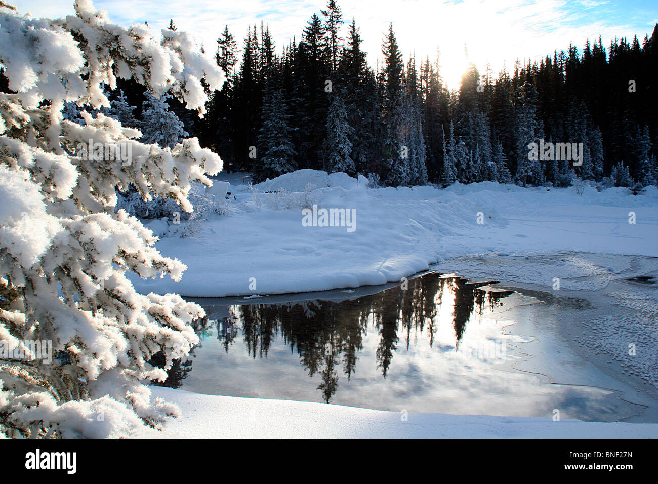 Reflection of trees in the lake, Banff National Park, Alberta, Canada ...