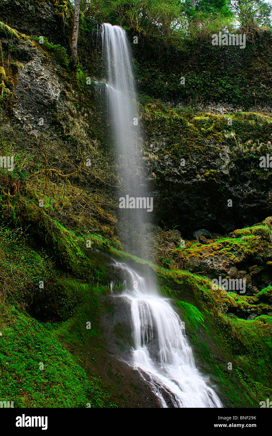Waterfall in a forest, Winter Falls, Silver Falls State Park, Oregon ...