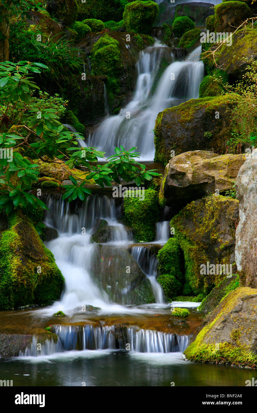 Waterfall japanese gardens portland hi-res stock photography and images ...