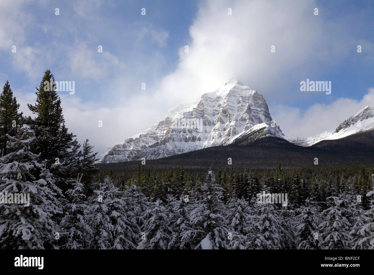 Snow covered trees with a mountain in the background, Banff National ...