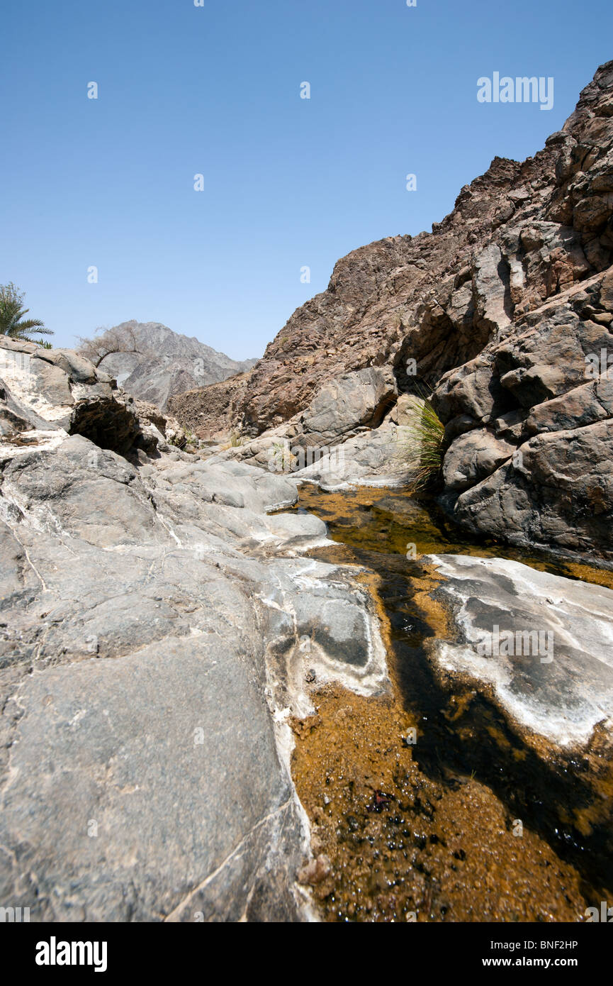 Wadi in Fujairah, UAE Stock Photo - Alamy
